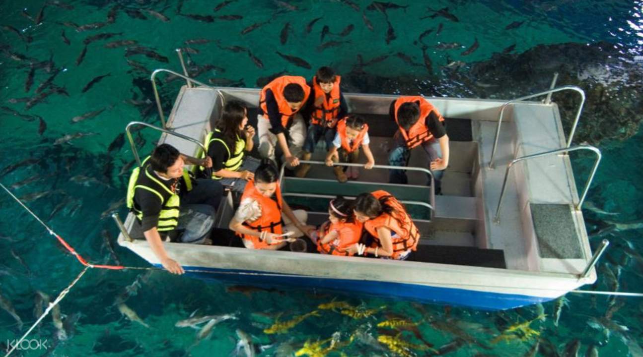 SEA LIFE Bangkok Ocean World Tickets (Siam Ocean World) - Klook